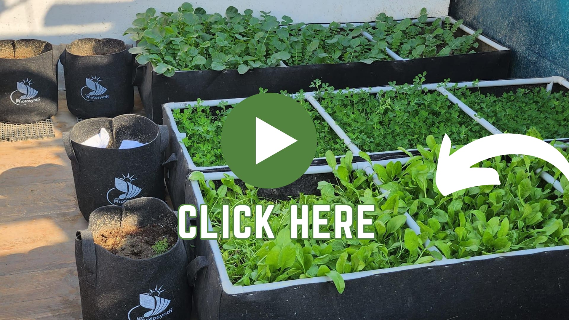 Terrace Farming – Organic Store